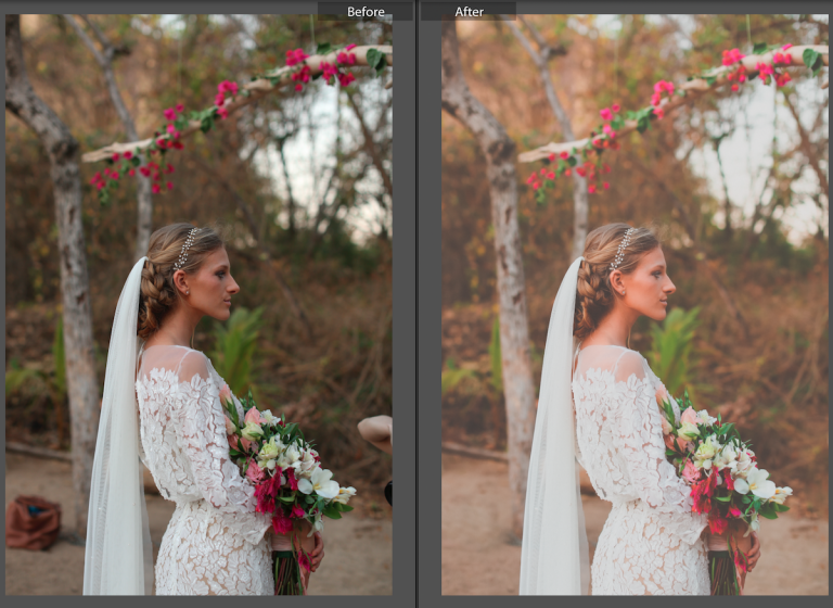 Sleeklens Presets Review - Strike a Pose Workflow - JudithsFreshLook.com