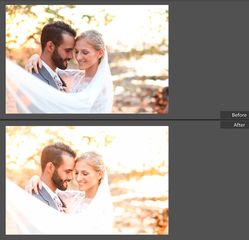 Sleeklens Presets Review - Strike a Pose Workflow - JudithsFreshLook.com