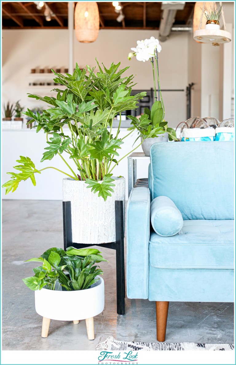 10 Blog Post Ideas For Photographers JudithsFreshLook 10-blog-post-ideas-for-photographers-judithsfreshlook
