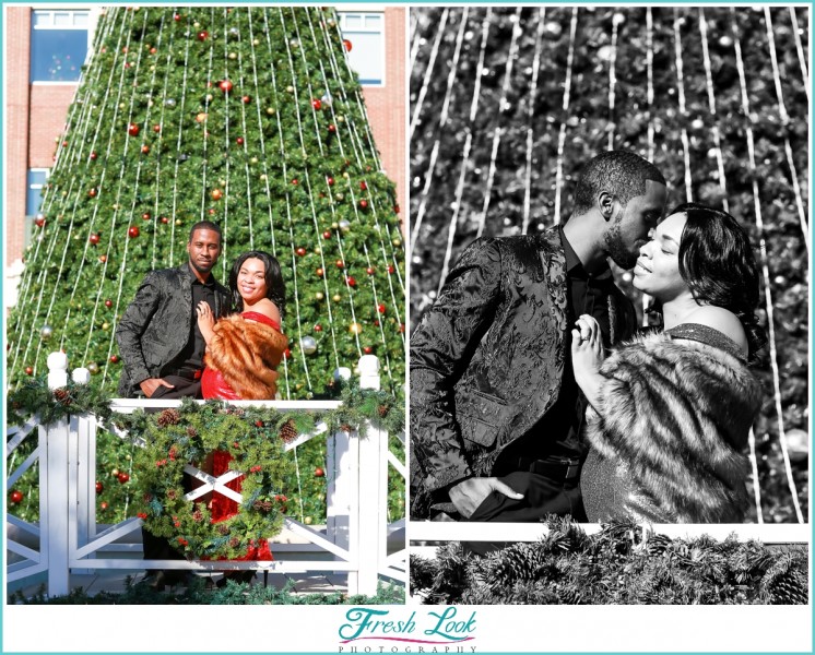 Classy Holiday Photoshoot | Madison Family - JudithsFreshLook.com