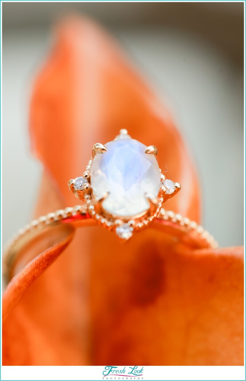 Romantic Fall Engagement Session | Raquel+Matt - JudithsFreshLook.com