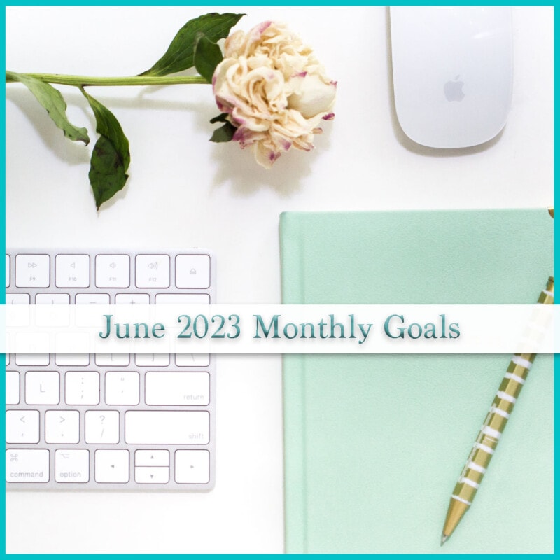 June 2023 Goals | Personal+Profesional - JudithsFreshLook.com